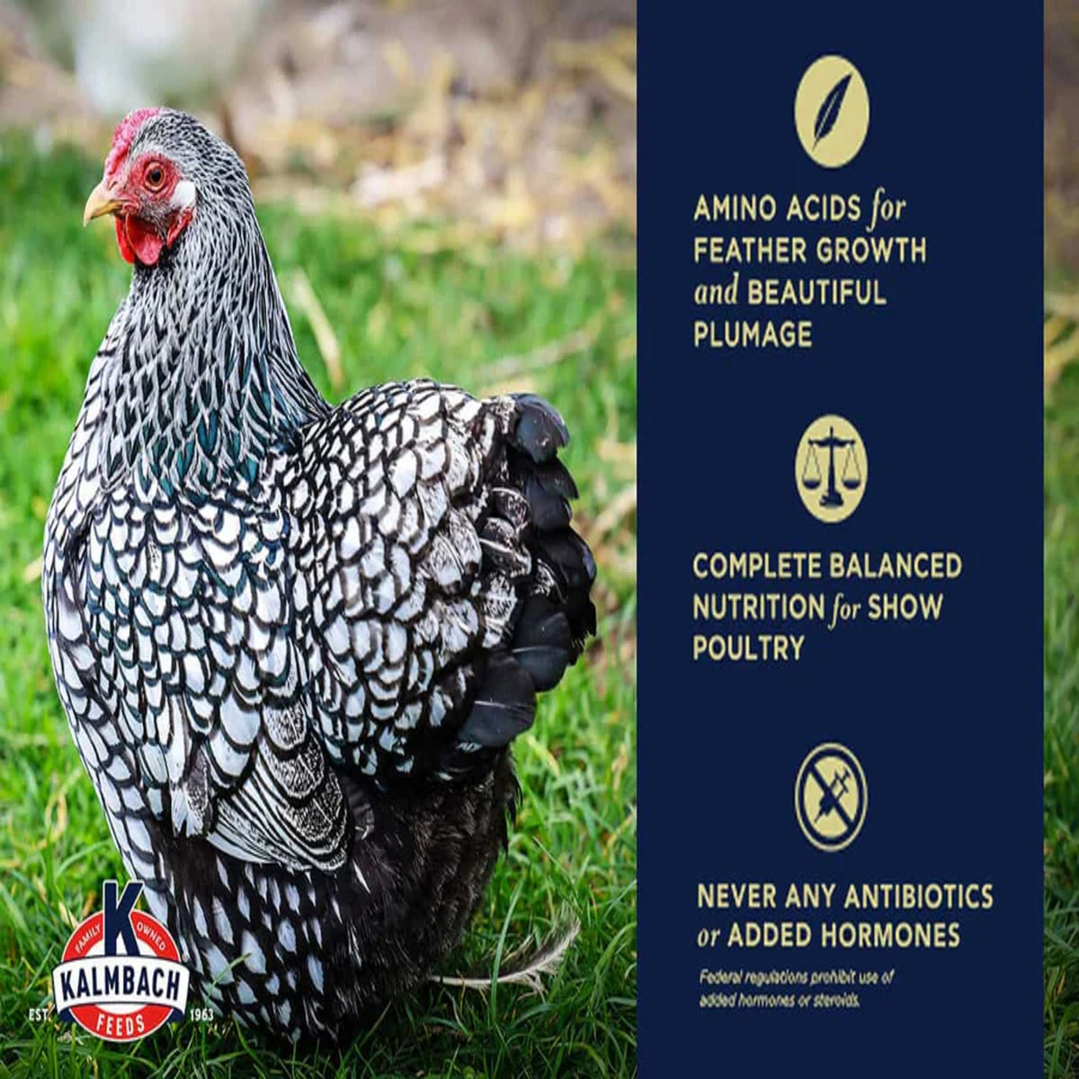 24% Show Bird Poultry & Gamebird Starter Grower - 5 lb – NORTH STAR FARMS