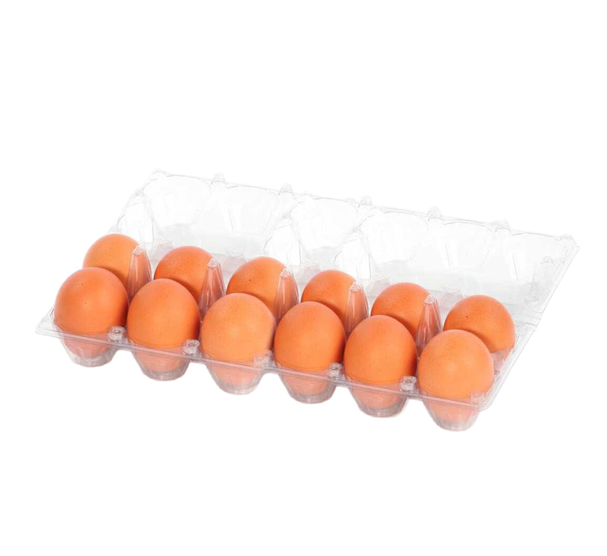 12-Egg Cartons - Clear Plastic – NORTH STAR FARMS